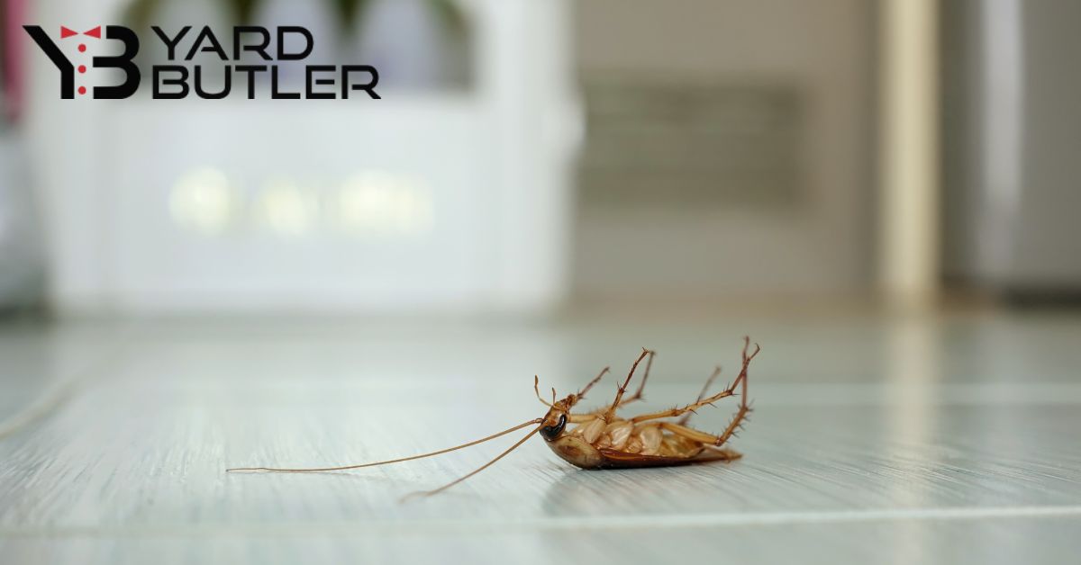 The Impact of Pests on Human Health