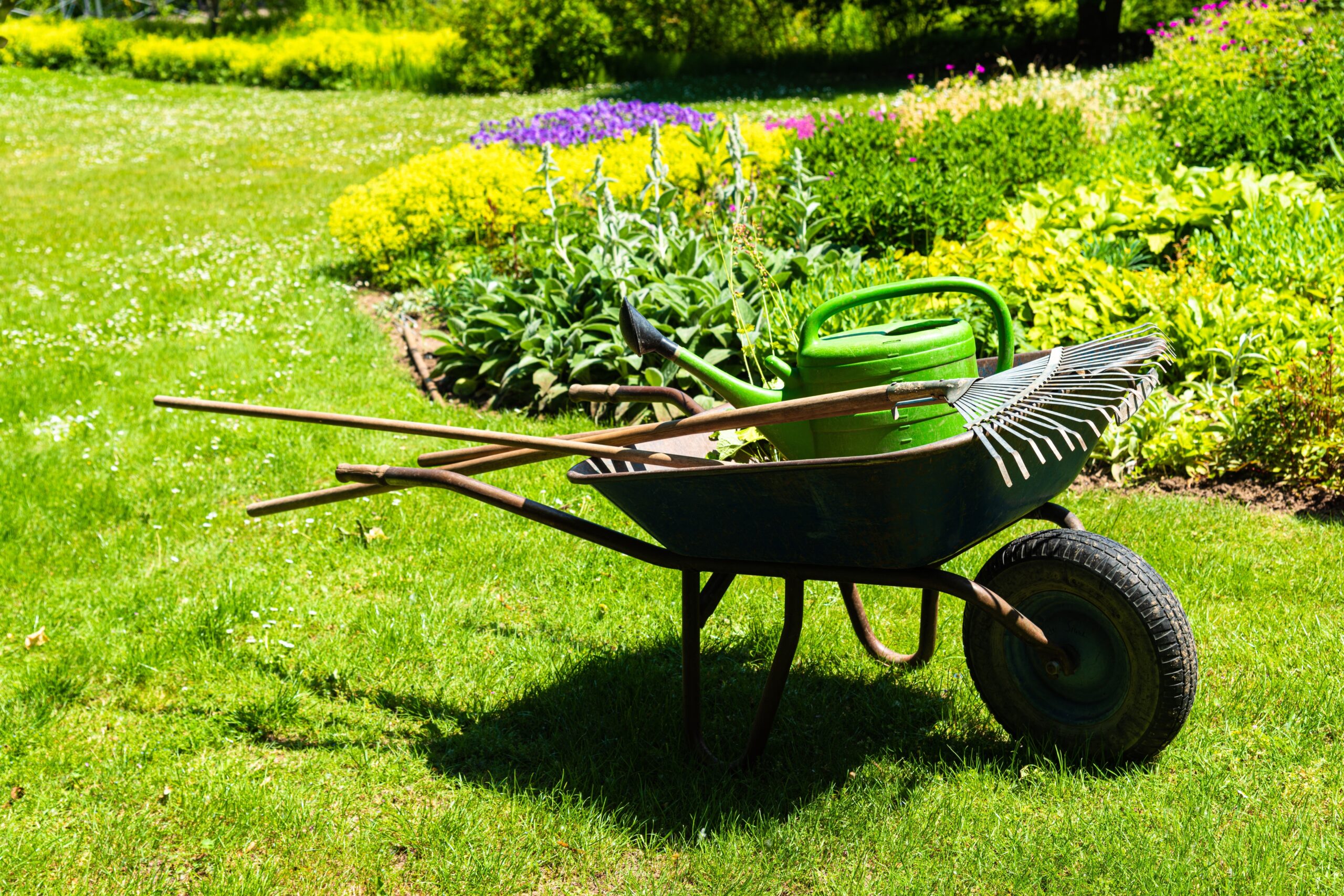 The Benefits of Professional Lawn Care Fertilizer Service | The Yard Butler